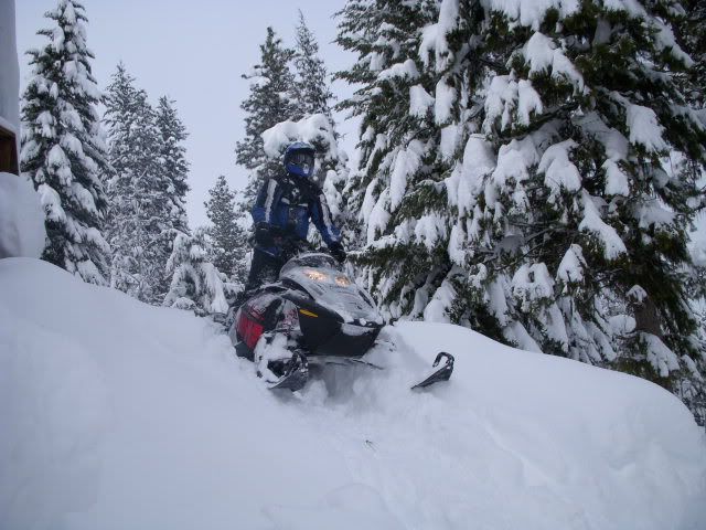 Sled Thread | RCCrawler Forums