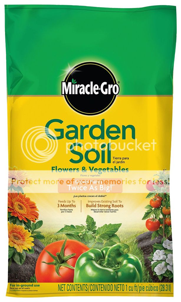 Miracle Grow Soil Causing Algae? | The Planted Tank Forum