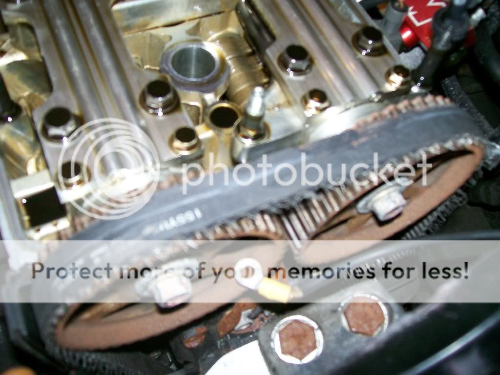 h22 timing belt shredded! | Honda Prelude Forum