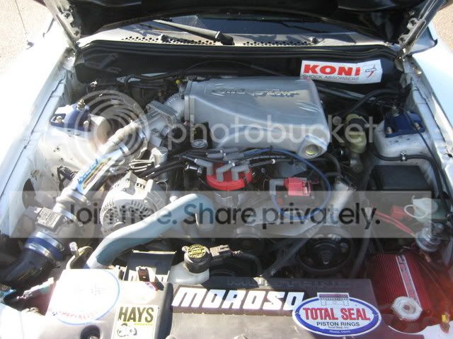 Let's see some clean 5.0 engine bay pics! | SN95Forums The Only SN95 ...