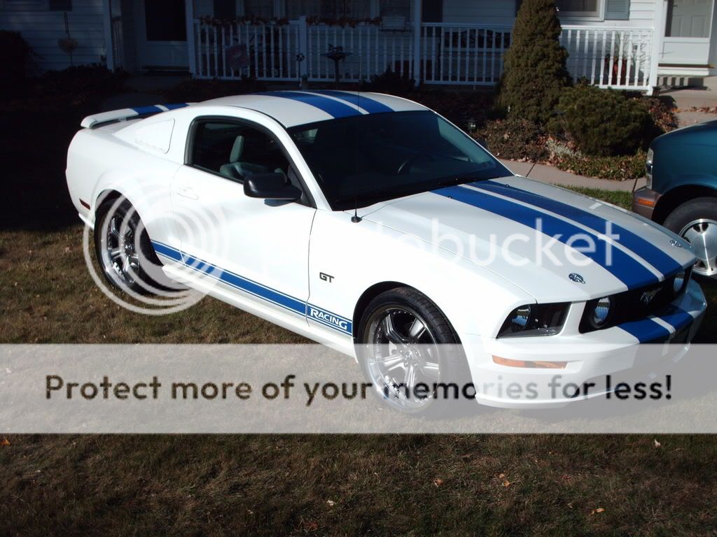 blue Racing Stripes - Forums at Modded Mustangs