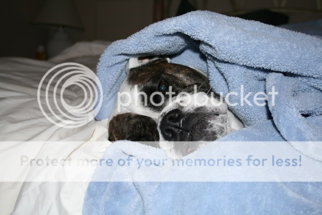 How Zoey spent the day (Floyd too)