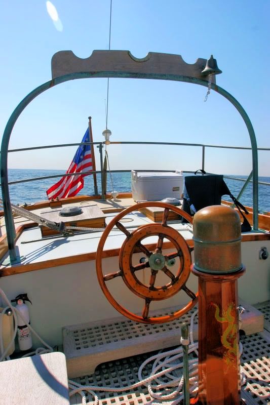 How Do Boom Gallows Work at Ellen Unger blog