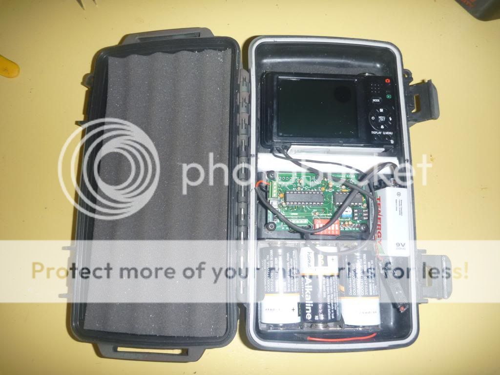 Panasonic F3 trailcam 12 mp | Archery Talk Forum