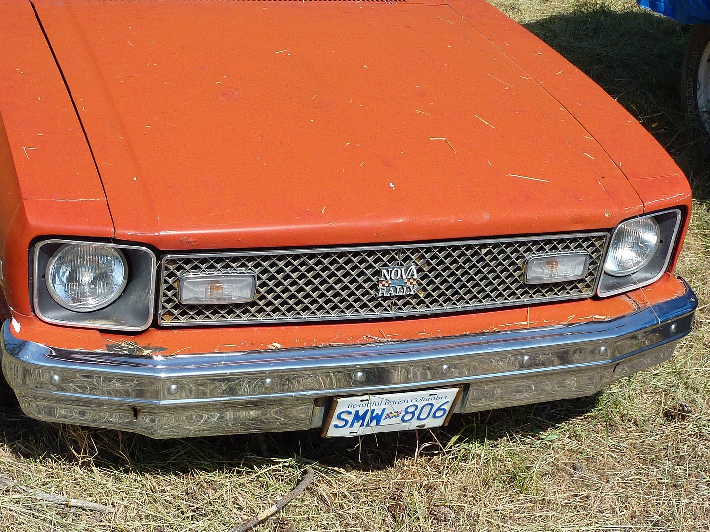 77 Nova RS hatchback value? | Chevy Nova Forum